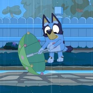 Bluey: Season 3, Episode 18 - Rotten Tomatoes