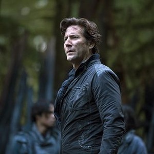 The 100 - Rotten Tomatoes