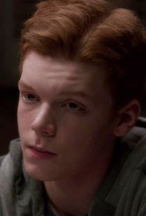 Law & Order: Special Victims Unit: Season 13, Episode 13 | Rotten Tomatoes