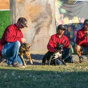 Backtrack Boys - Rotten Tomatoes