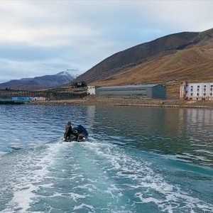 Arctic Void - Rotten Tomatoes