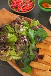 Martha Cooks: Season 1, Episode 9 | Rotten Tomatoes