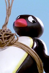 Pingu: Season 4, Episode 18 | Rotten Tomatoes