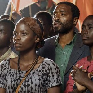 Maxwell Simba - Rotten Tomatoes