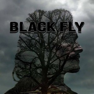 Black Fly - Rotten Tomatoes