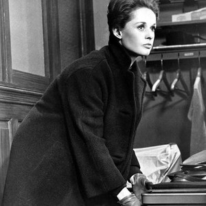 Tippi Hedren - Rotten Tomatoes