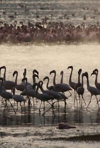 Atlas 4D: Season 1, Episode 1 | Rotten Tomatoes