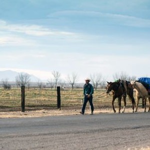 The Long Rider - Rotten Tomatoes