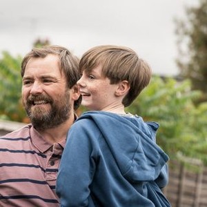 Bull - Rotten Tomatoes