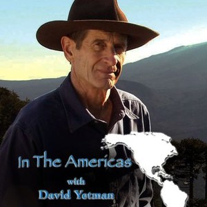 In the Americas With David Yetman - Rotten Tomatoes