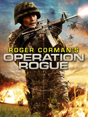 operation rogue trader