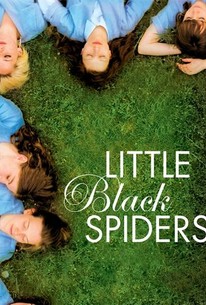 Little Black Spiders | Rotten Tomatoes