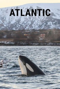 Atlantic | Rotten Tomatoes