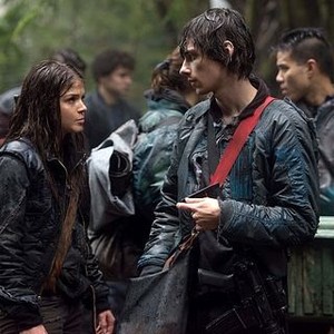 The 100 - Rotten Tomatoes