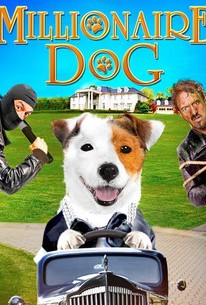 Millionaire Dog | Rotten Tomatoes