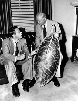 Larry Gates Roles Bromance Diaries: When Bill Gates, Larry Page, And