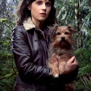 Tin Man - Rotten Tomatoes