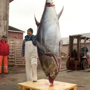 Catching Monsters: Season 1, Episode 1 - Rotten Tomatoes