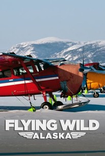 Flying Wild Alaska Pictures - Rotten Tomatoes