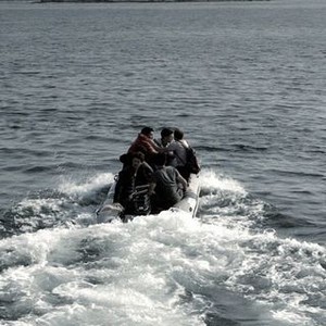 Crypsis - Rotten Tomatoes