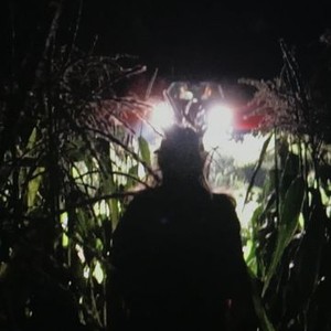 Fawn - Rotten Tomatoes