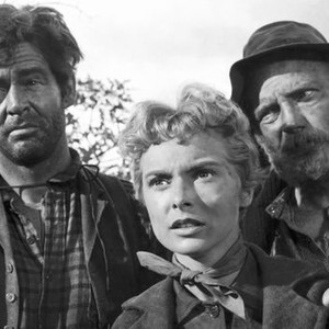 Millard Mitchell - Rotten Tomatoes