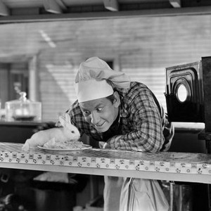 Fuzzy Knight - Rotten Tomatoes