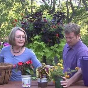 Garden Smart: Season 21, Episode 40 - Rotten Tomatoes