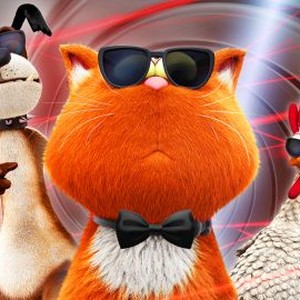 Spy Cat - Rotten Tomatoes
