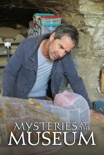Mysteries at the Museum - Rotten Tomatoes