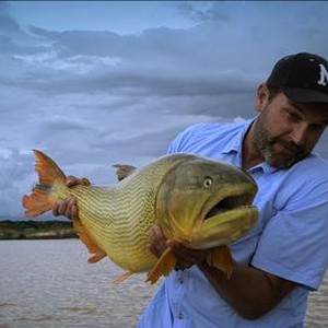 Zeb Hogan - Rotten Tomatoes