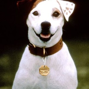 Wishbone: Season 1, Episode 19 - Rotten Tomatoes