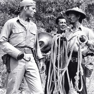 The Steel Claw - Rotten Tomatoes