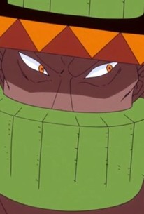 One Piece: Season 17, Episode 18 | Rotten Tomatoes