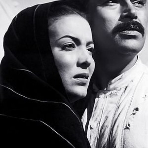 Maclovia - Rotten Tomatoes