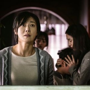 Metamorphosis - Rotten Tomatoes