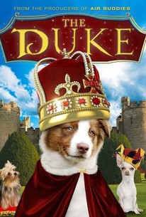The Duke - Rotten Tomatoes