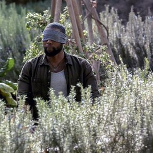 Trevante Rhodes - Rotten Tomatoes