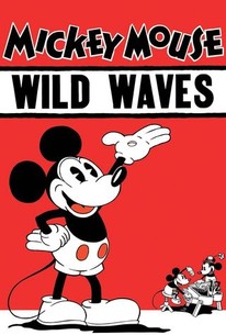 Wild Waves Rotten Tomatoes