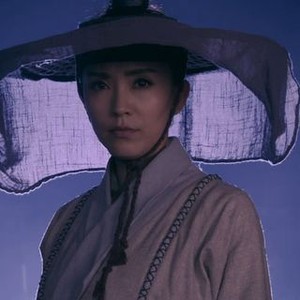 Lady Detective Shadow - Rotten Tomatoes