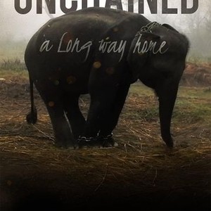 Unchained - Rotten Tomatoes