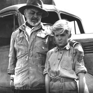 Fergus McClelland - Rotten Tomatoes