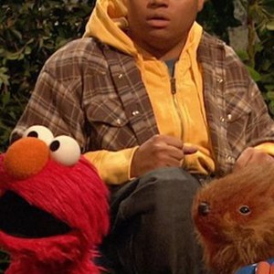 Sesame Street: Season 42, Episode 23 - Rotten Tomatoes