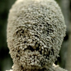 Channel Zero - Rotten Tomatoes