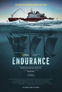 Endurance | Rotten Tomatoes