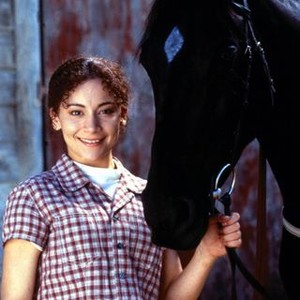 Ready to Run - Rotten Tomatoes