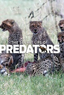 Secret Life of Predators - Rotten Tomatoes