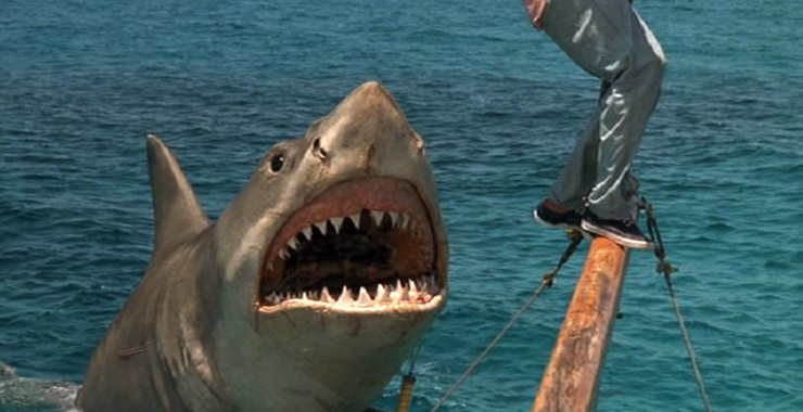 Jaws the Revenge - Rotten Tomatoes