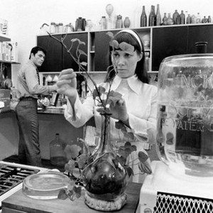 Verna Bloom - Rotten Tomatoes