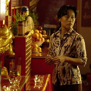 Eve & the Fire Horse - Rotten Tomatoes